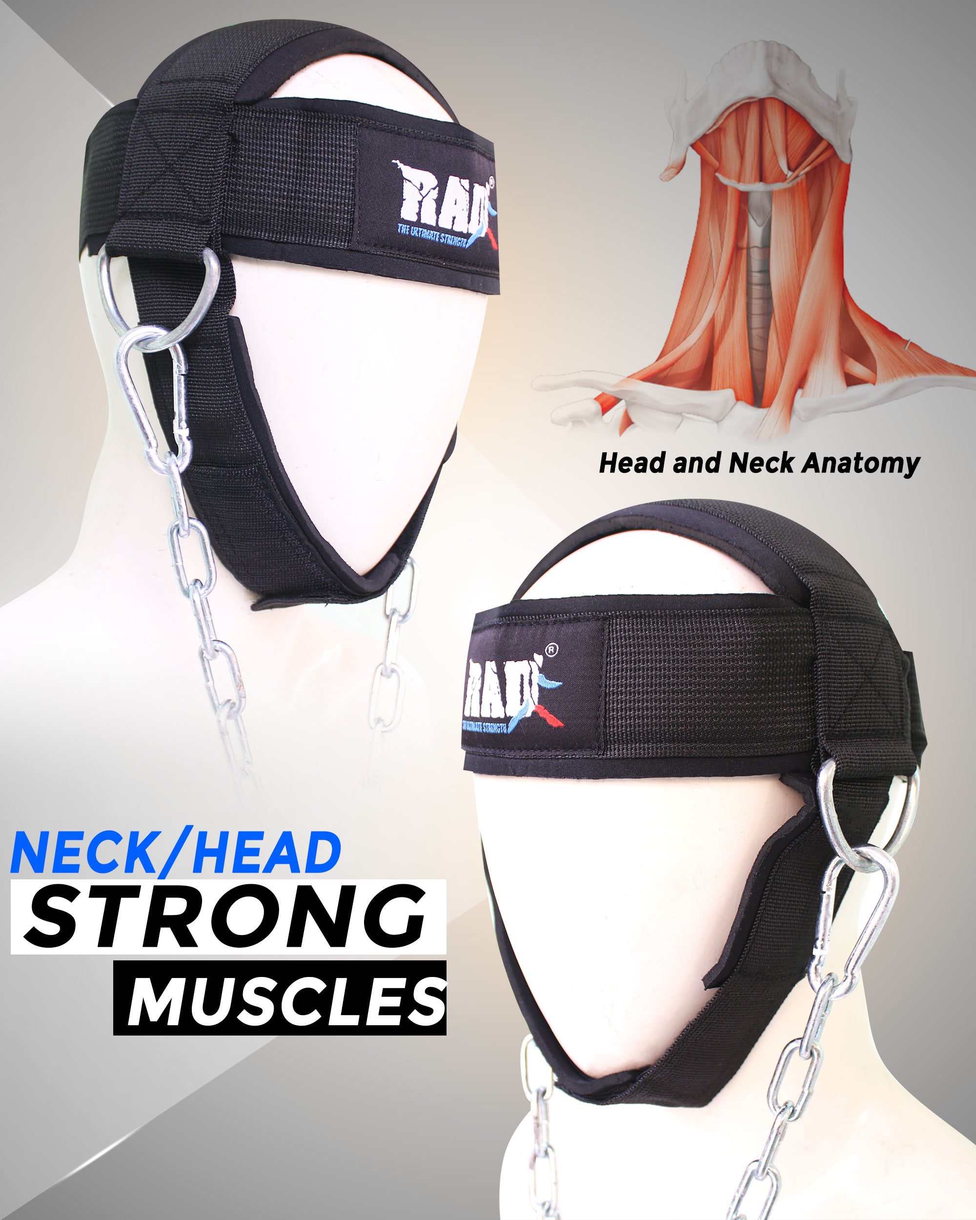 Neck Harness for Weight Training | Build Neck Strength Fast – RAD Ultimate